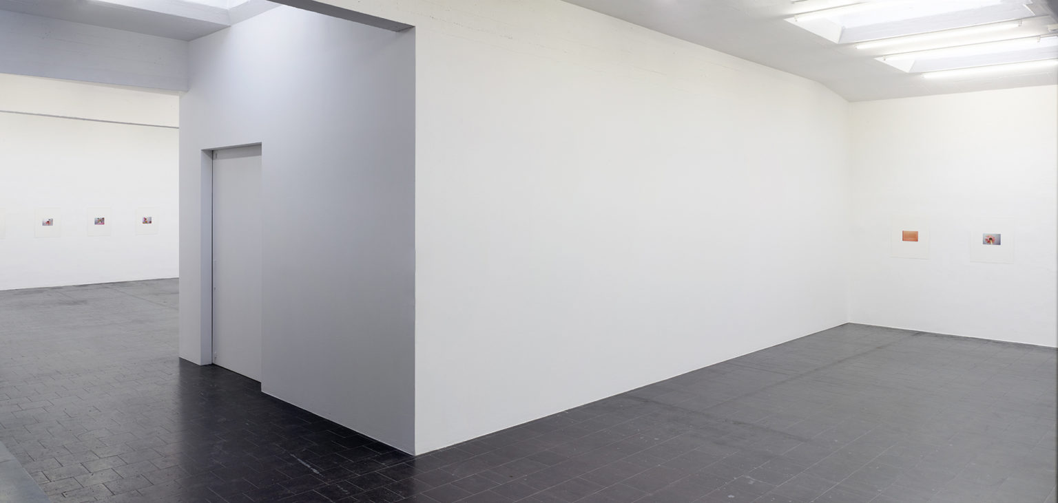 Temporary Gallery | ArtJunk