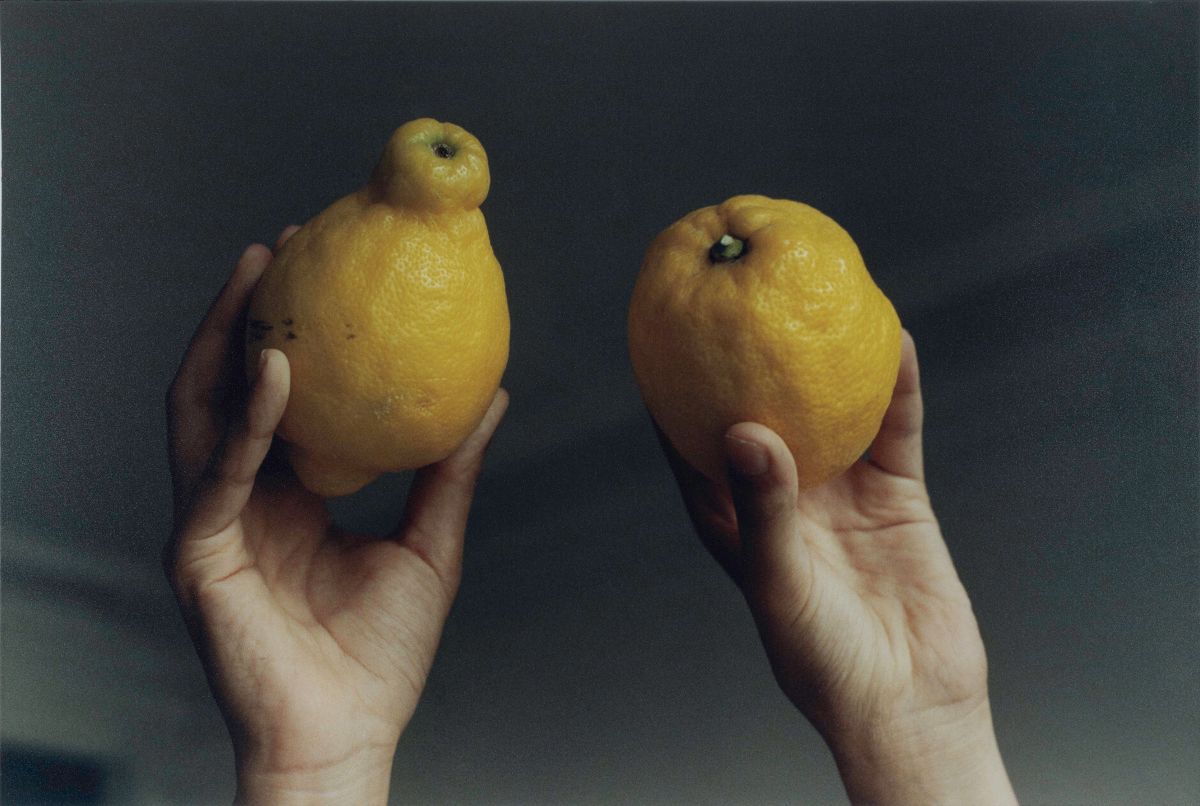 Katinka Bock & Michael Schmidt | ArtJunk